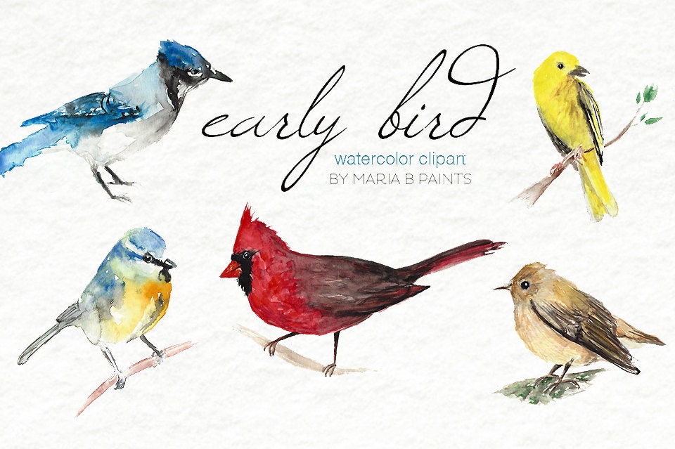 Watercolor Clip Art Birds Song Birds Personal Use - Etsy