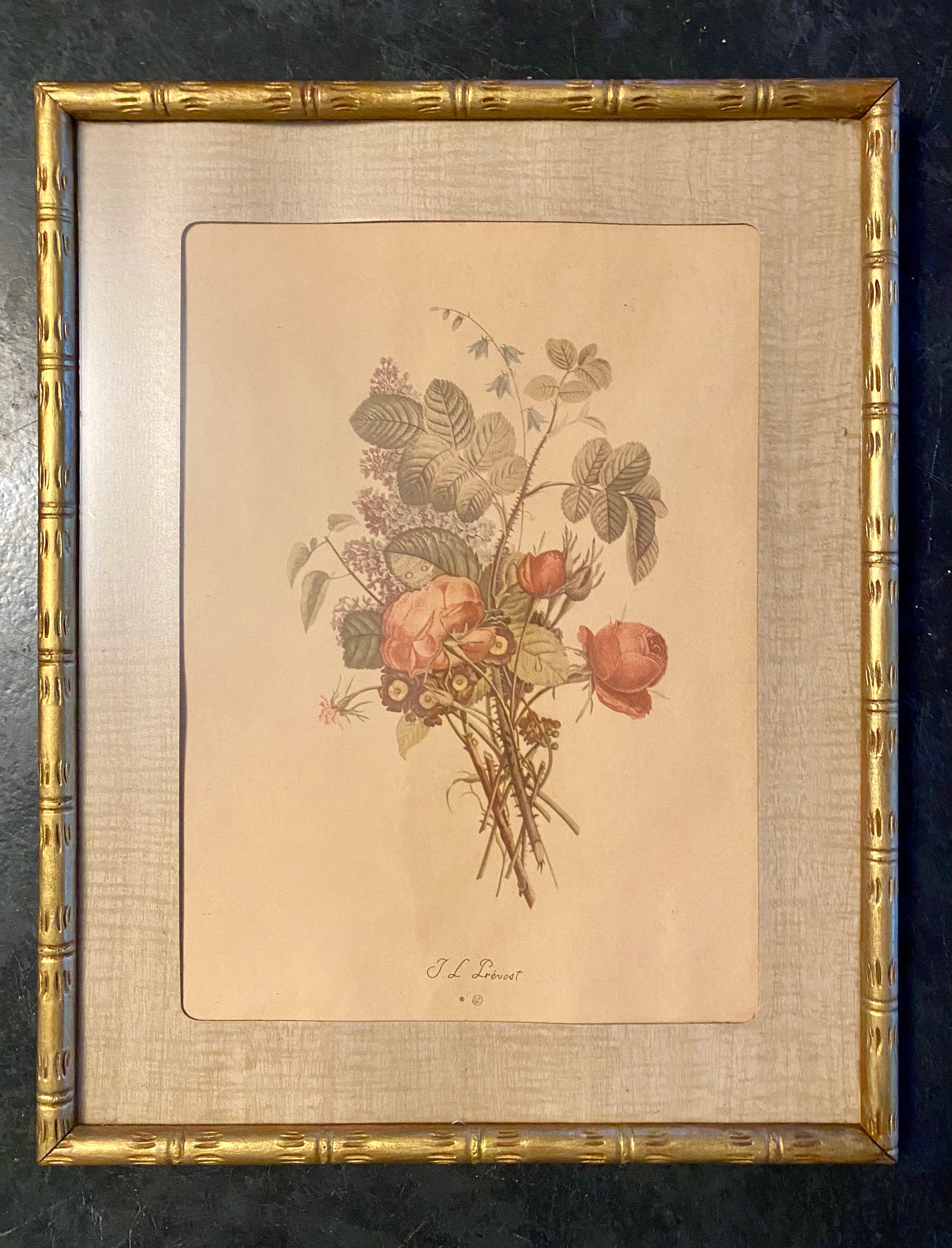 Botanical Vintage Print in Gold Bamboo Style Frame by J. L. Prévost - Etsy