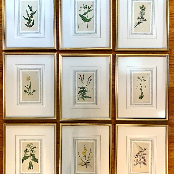 Framed Botanical Prints - Etsy