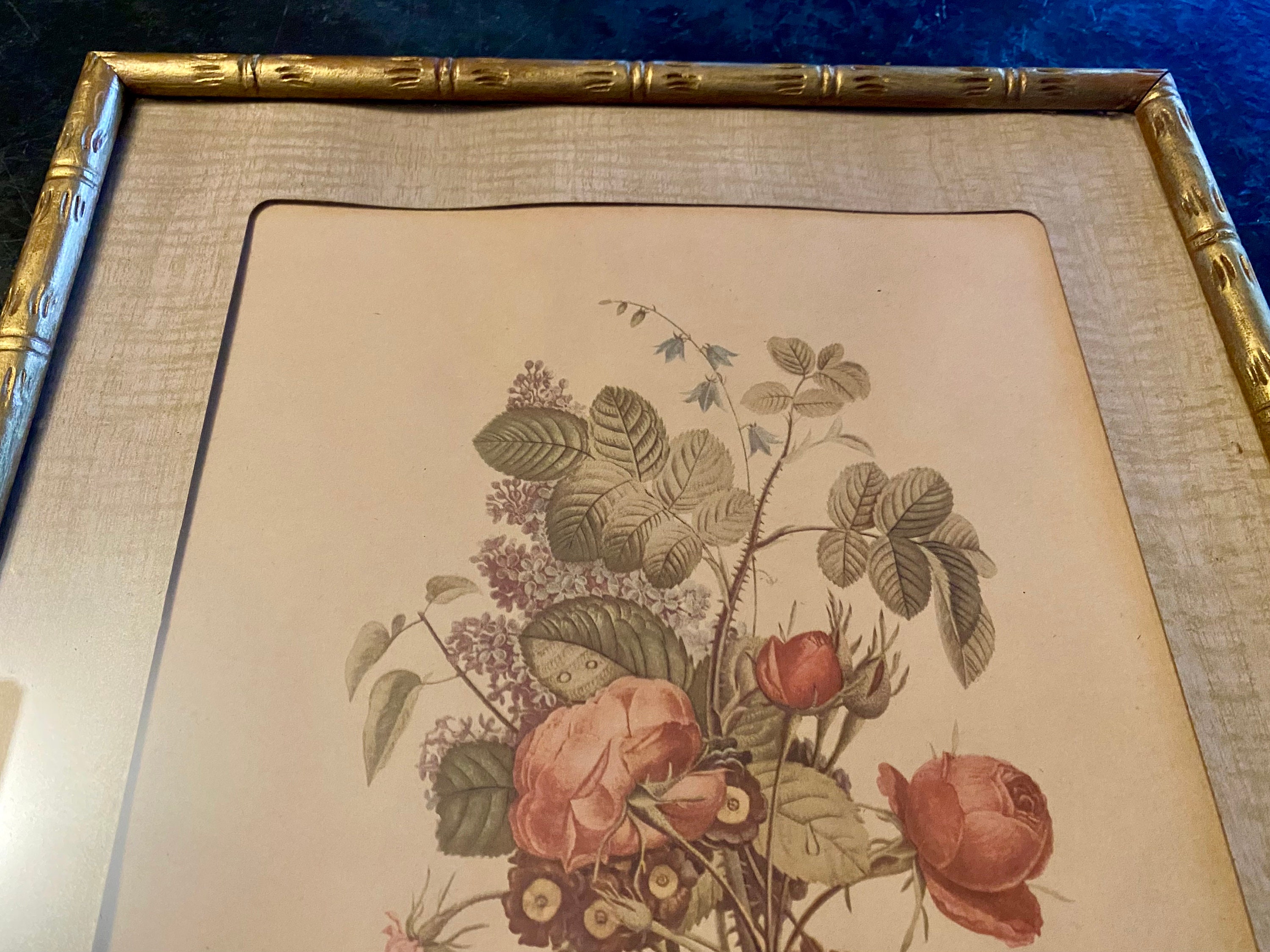 Botanical Vintage Print in Gold Bamboo Style Frame by J. L. Prévost - Etsy