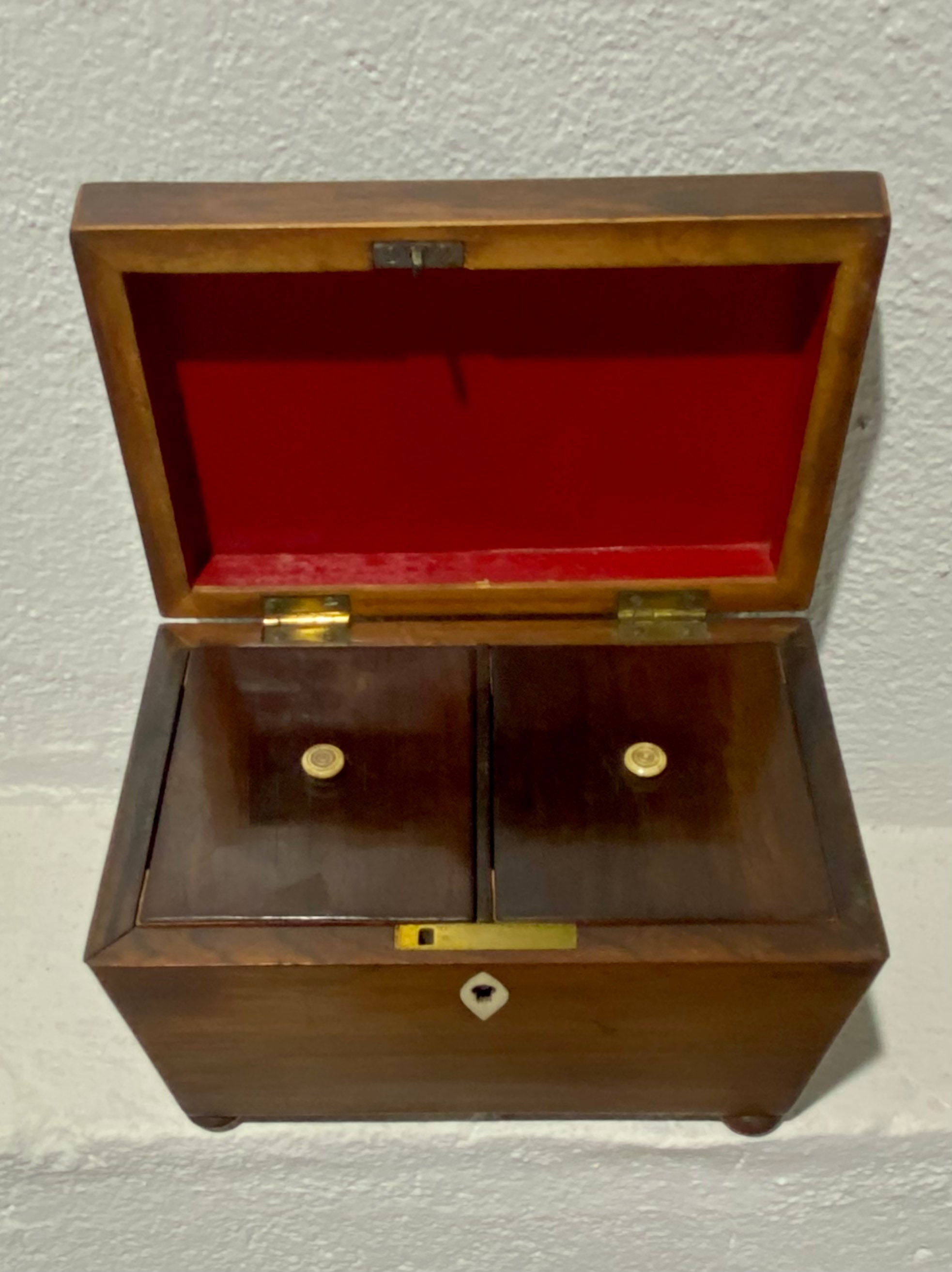 Antique Rosewood Tea Caddy Box, 19th C. Sarcophagus Shaped With Bun ...