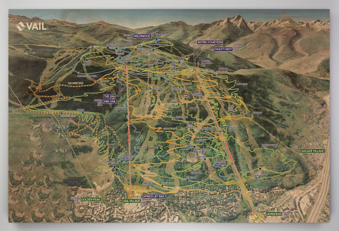 Vail Summer Resort Licensed Trail Map - Medium Maple Wood Print 22" X ...