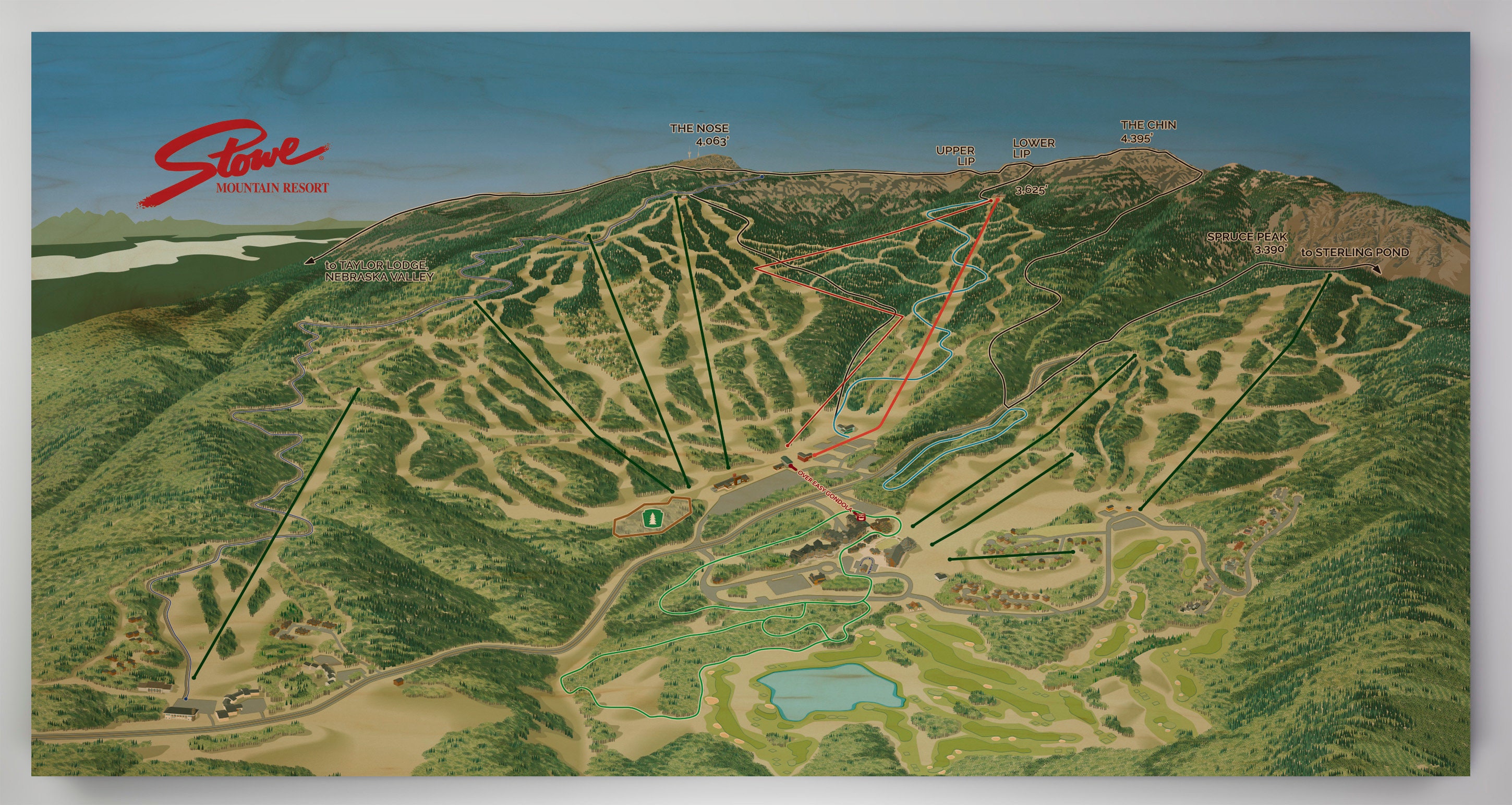 Stowe Summer Resort Licensed Trail Map - Large Maple Wood Print 30" X ...