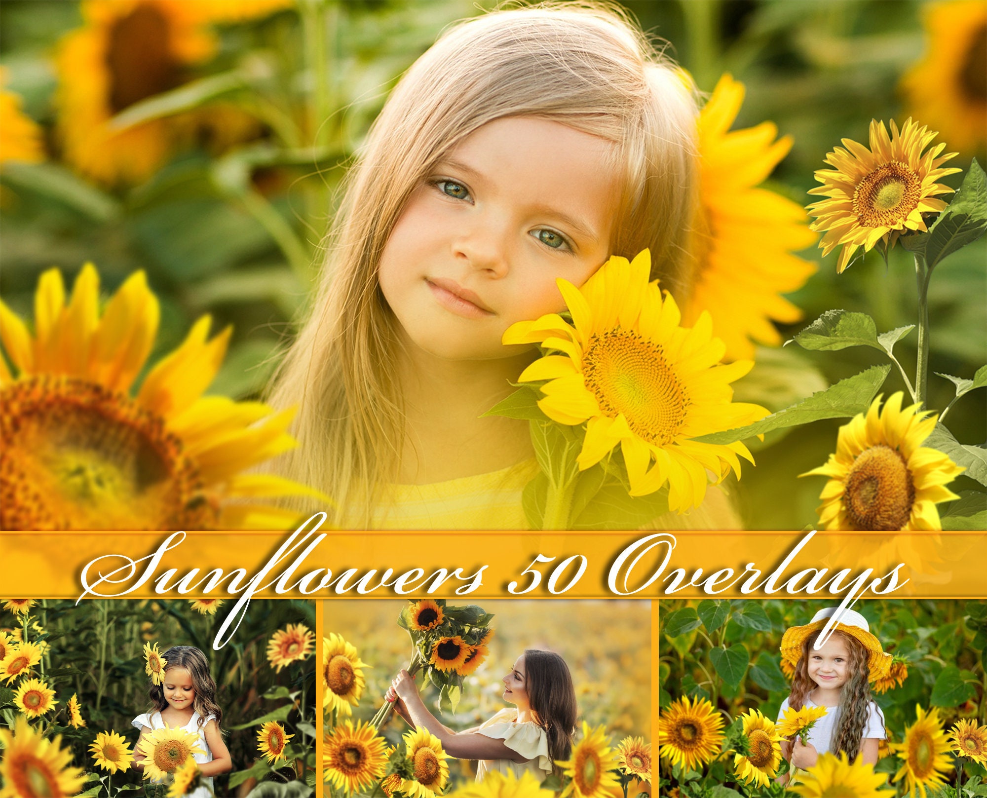 Sunflower Overlays Summer Flower Photoshop Overlay - Etsy