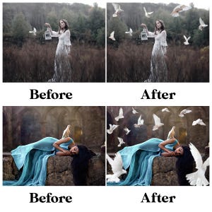 Dove Overlays, Pigeon Overlays, Wedding, Doves, Overlay, Birds ...