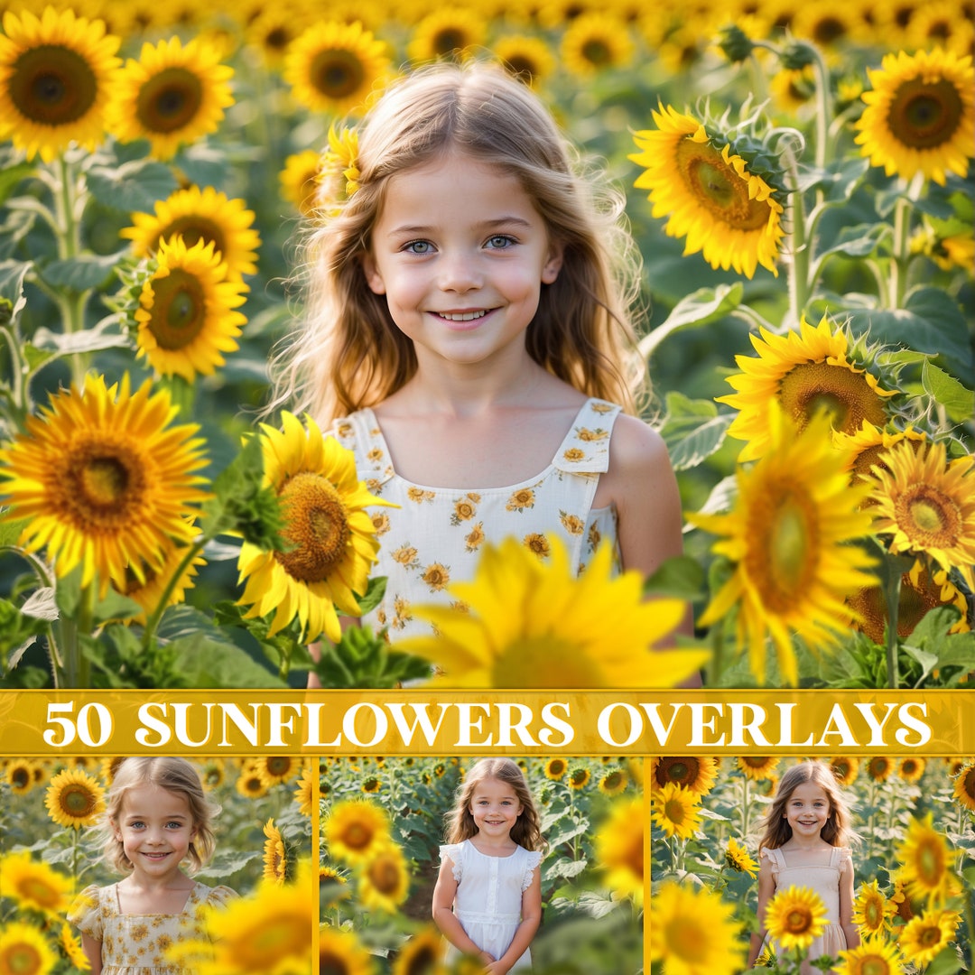 Sunflower Overlays, Summer Flower Photoshop Overlay, Sunflower Field ...