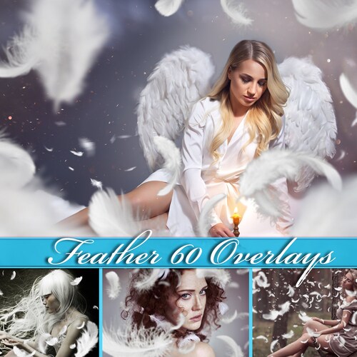 White Feather Overlays Falling Feathers Overlay Floating - Etsy