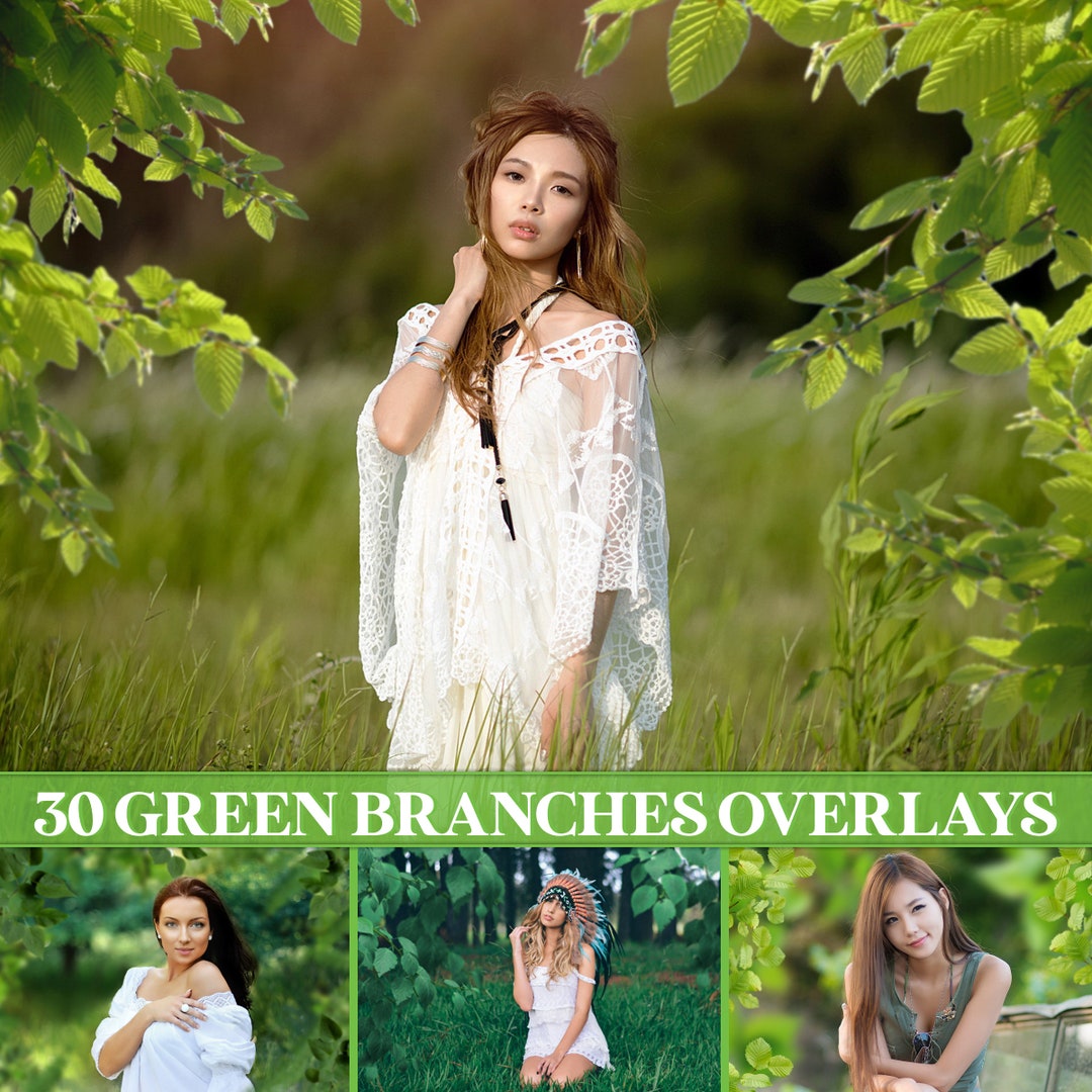 Tree Branch Overlay, Green Branches Overlays, Green Leaf Overlay, Tree ...