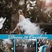 Dove Overlays Pigeon Overlays Wedding Doves Overlay Birds - Etsy