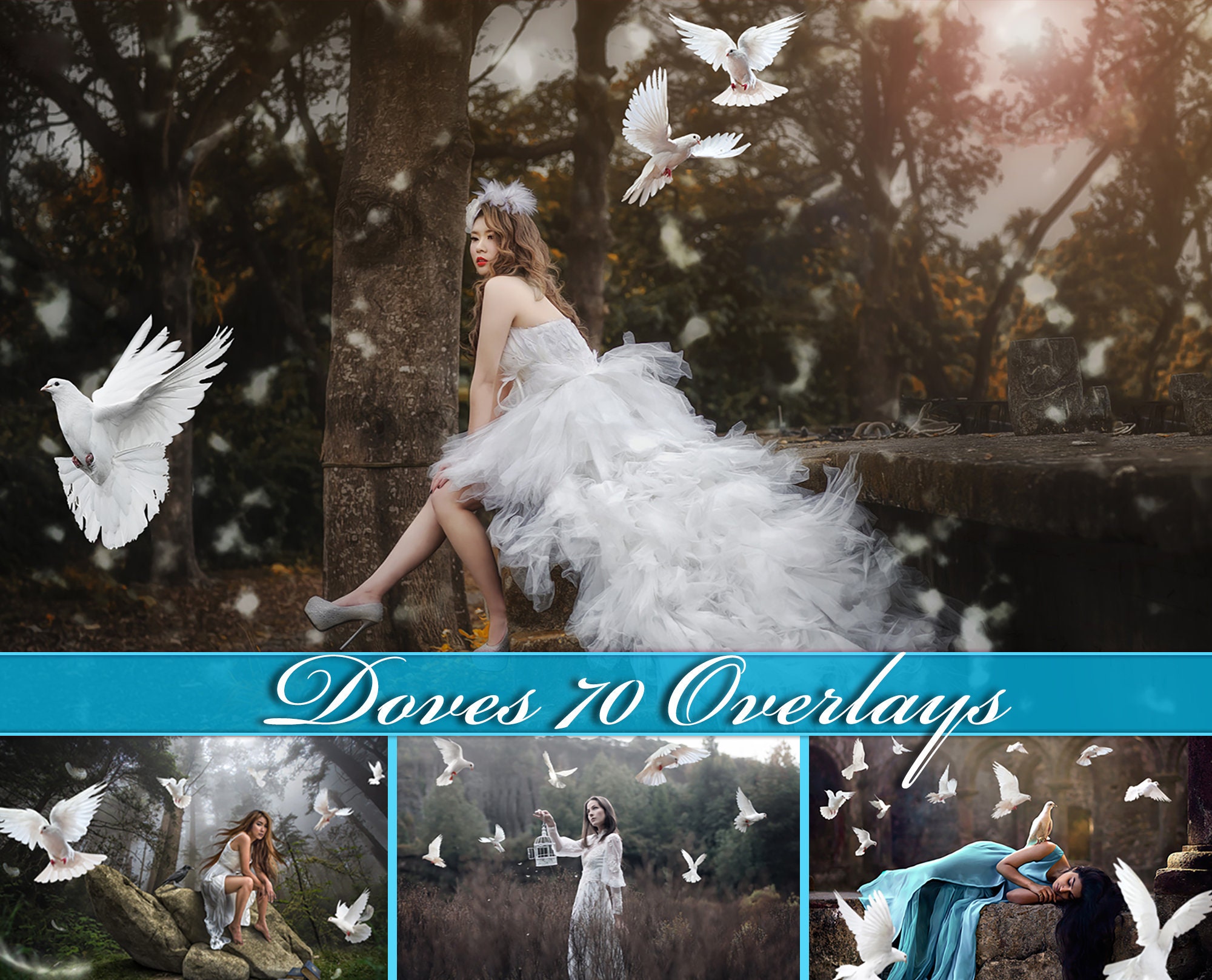 Dove Overlays Pigeon Overlays Wedding Doves Overlay Birds - Etsy Canada