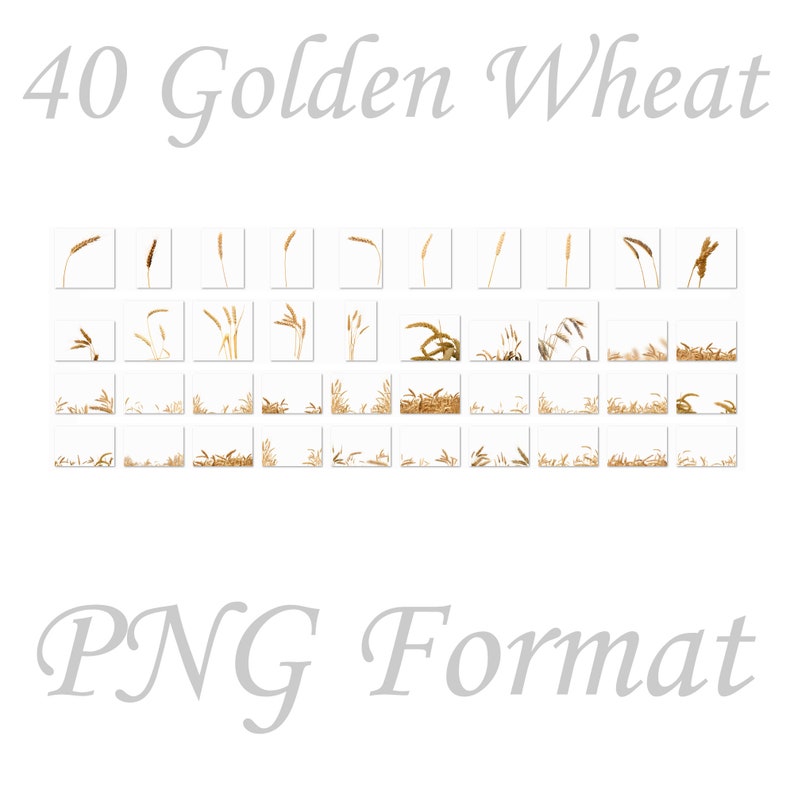 Golden Field Overlays Wheat Fields Overlay Golden Wheat - Etsy