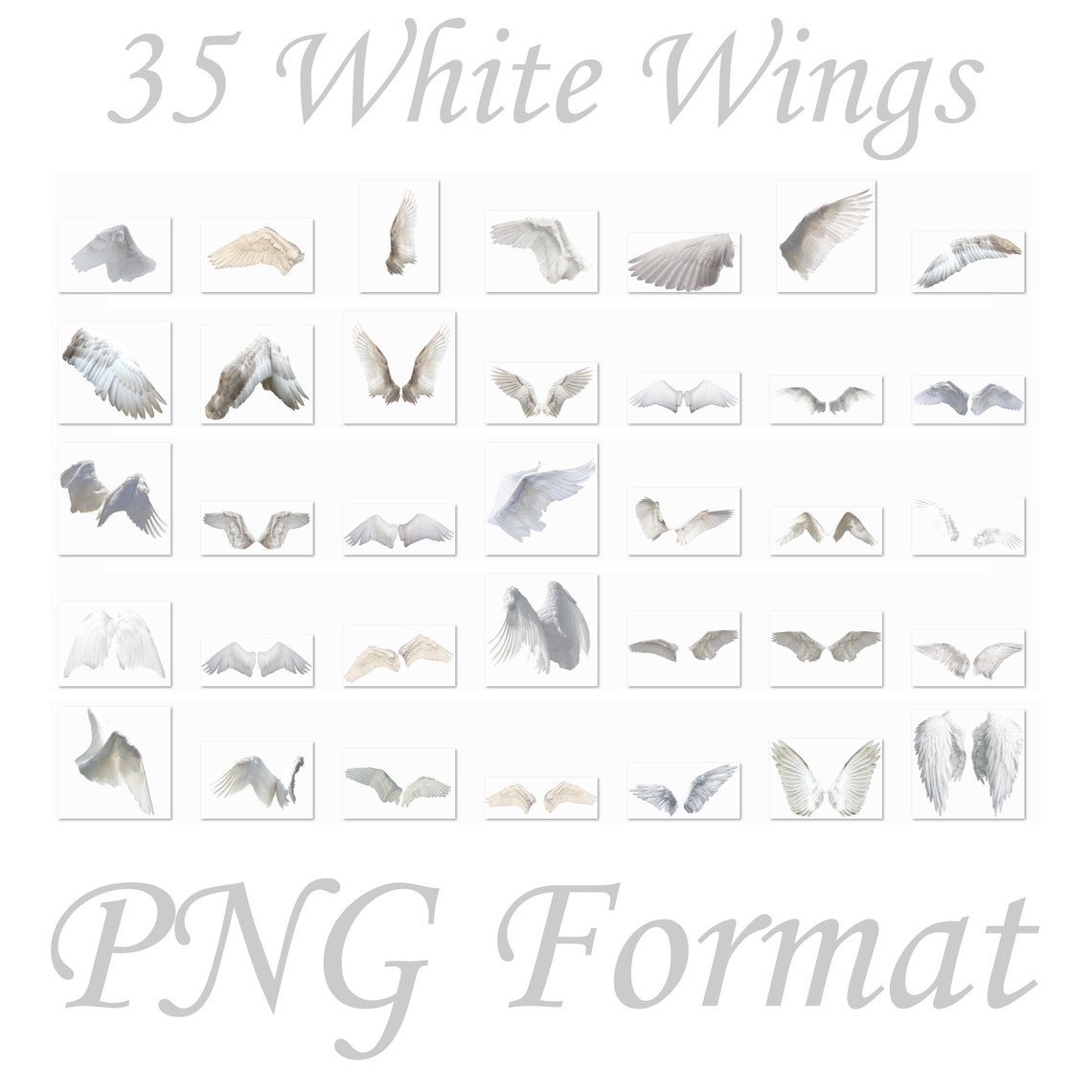 Angel Wings Overlay Realistic White Feather Wings Photoshop - Etsy
