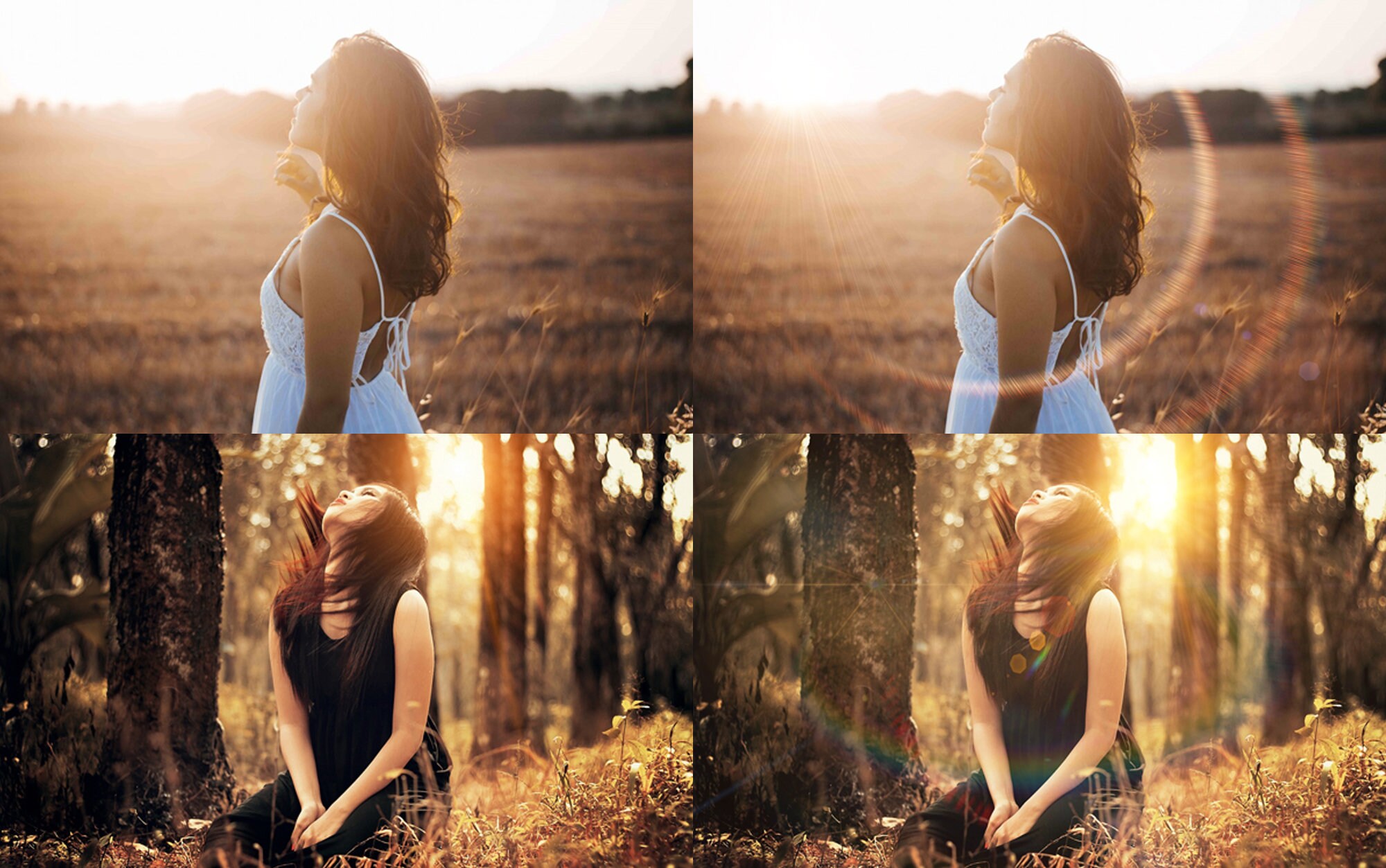 Lens Flare Overlays Sunlight Overlay Photoshop Overlays Sun - Etsy Canada