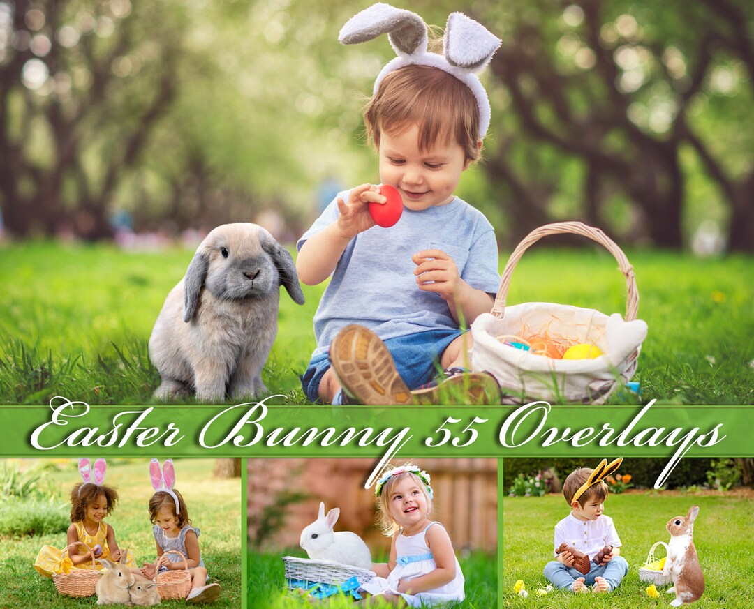 Easter Overlay, Easter Bunny, Photoshop Overlays, Easter, Rabbit ...
