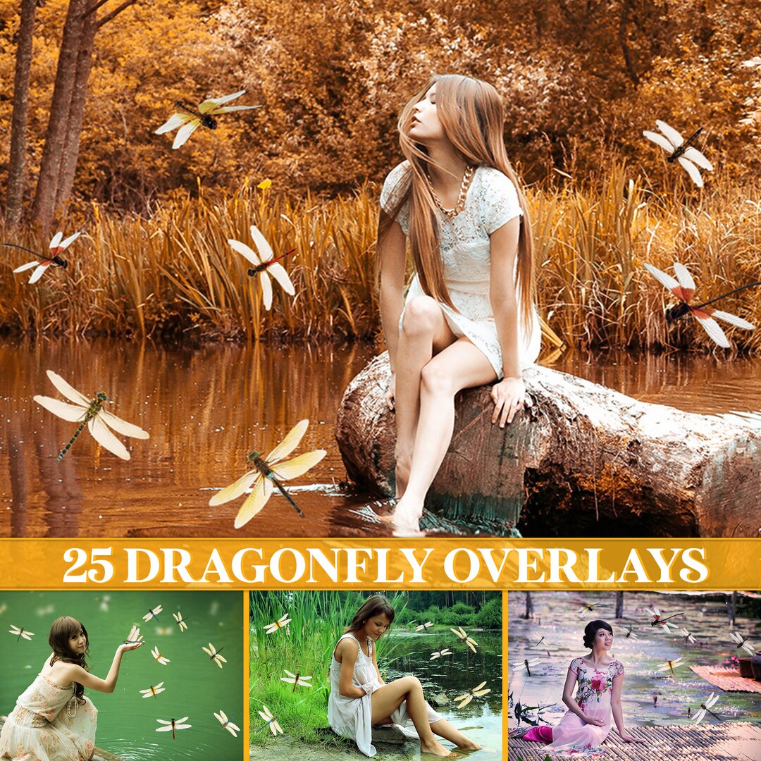 Dragonfly Overlays, Photoshop Overlays, Realistic Dragonflies ...