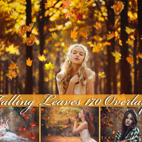 Falling Leaves Overlay Falling Leaf Overlays Fall Leaves - Etsy