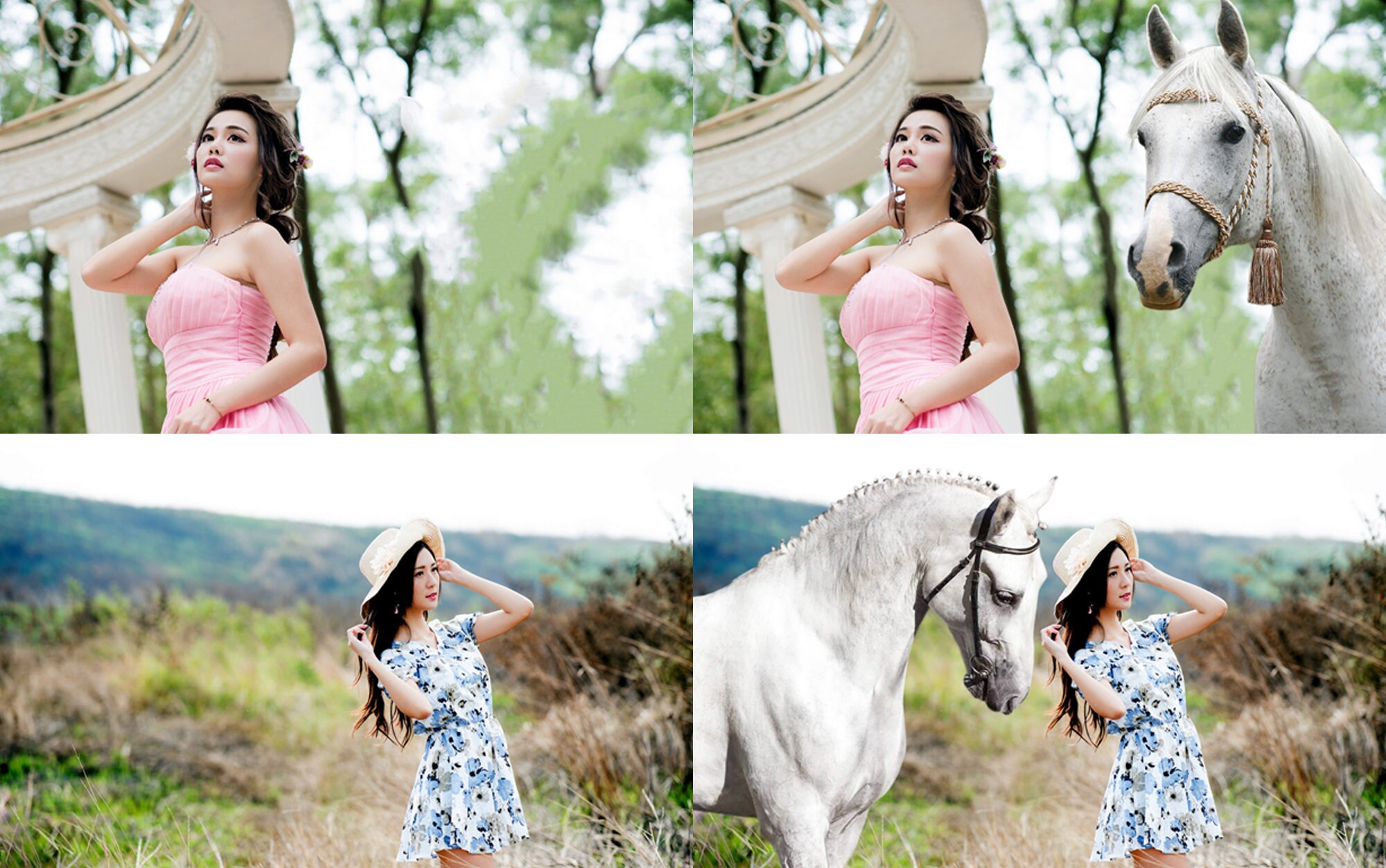 Unicorn Overlay Photoshop Overlays White Horse Overlay - Etsy Australia