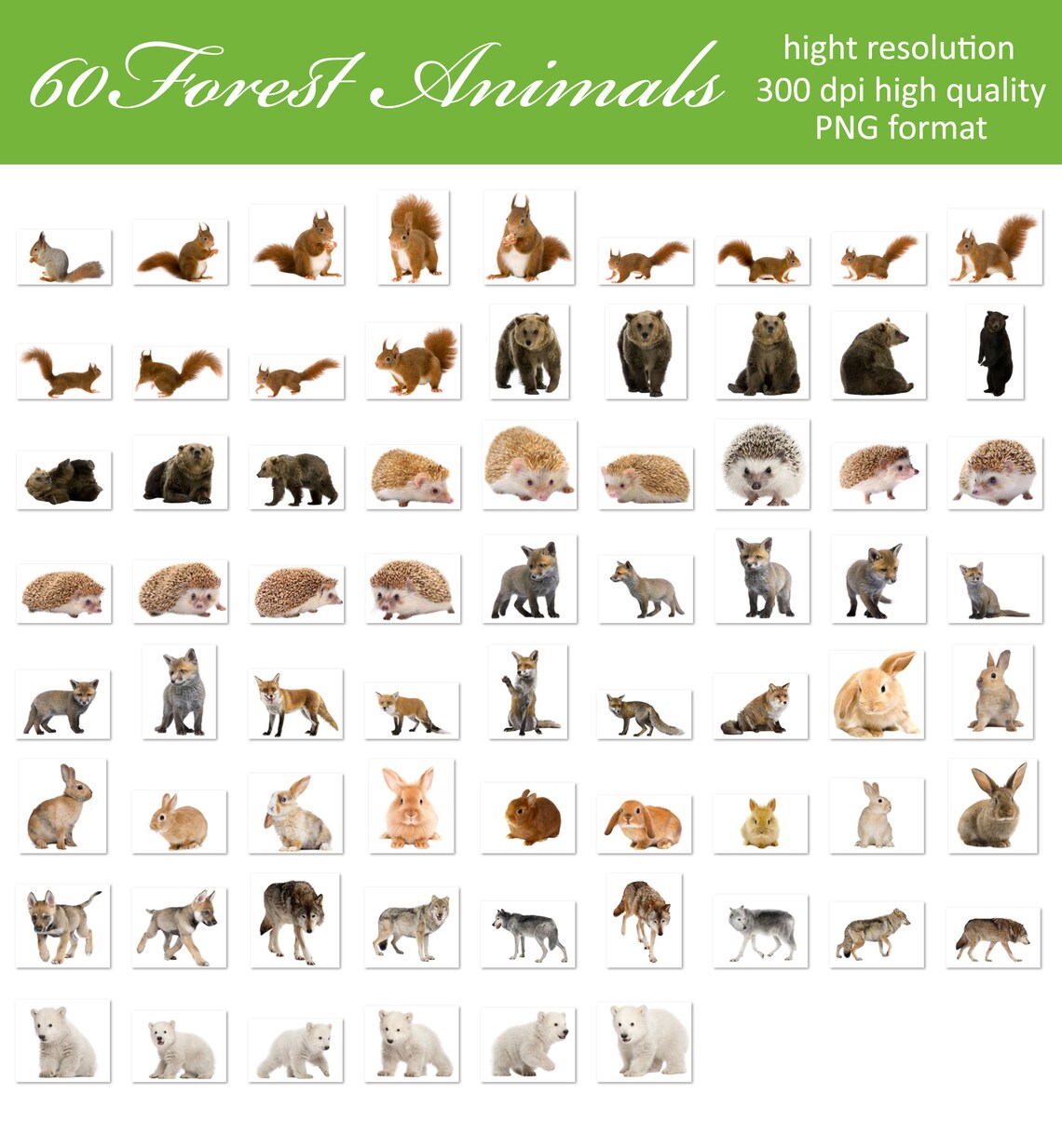 Forest Animals Overlay Wolf Rabbit Fox Hedgehog Squirrel - Etsy