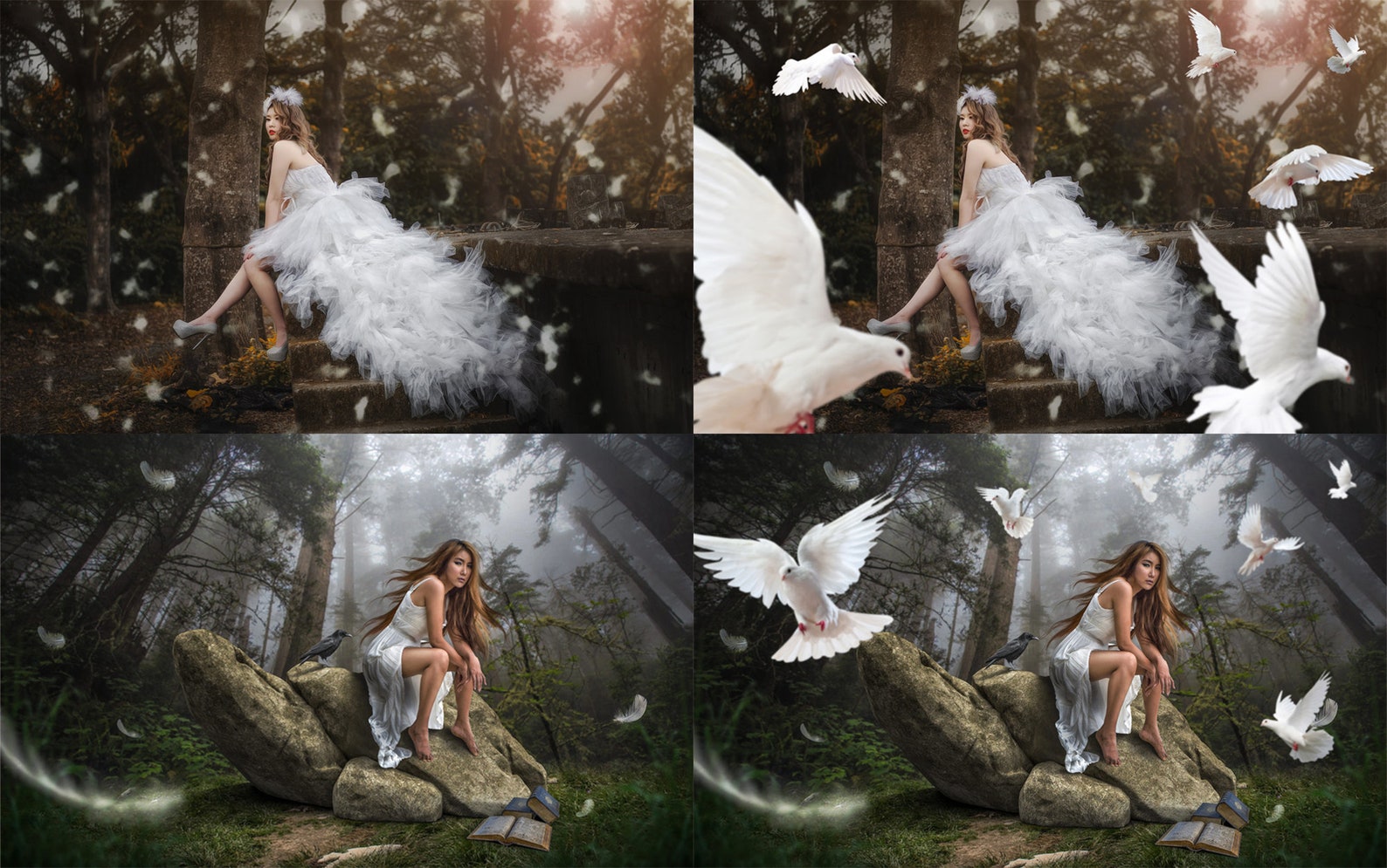 Dove Overlays Pigeon Overlays Wedding Doves Overlay - Etsy