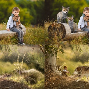 Forest Animals Overlay, Wolf, Rabbit, Fox, Hedgehog, Squirrel, Bear ...