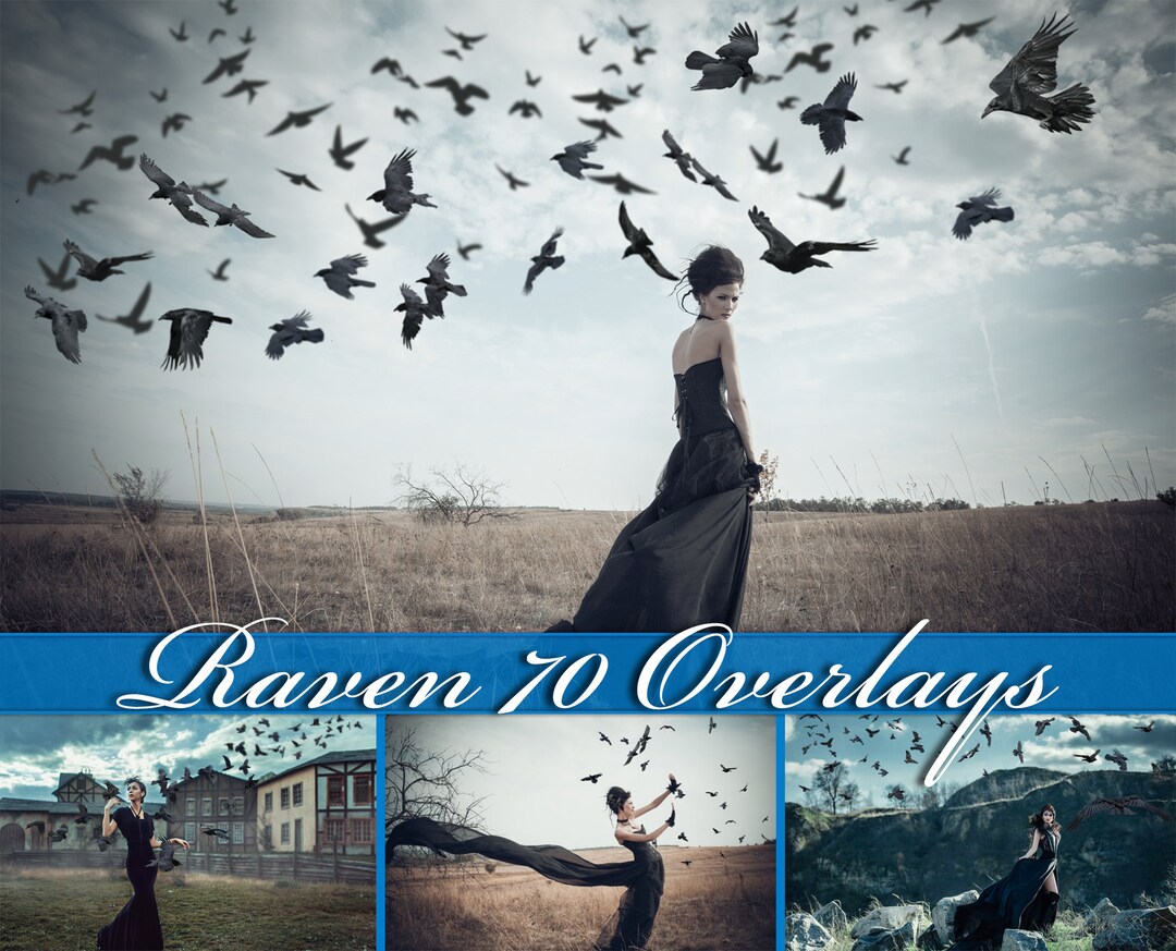 Raven Crow Overlays, Realistic Raven, Photoshop Overlays, Ghotic ...