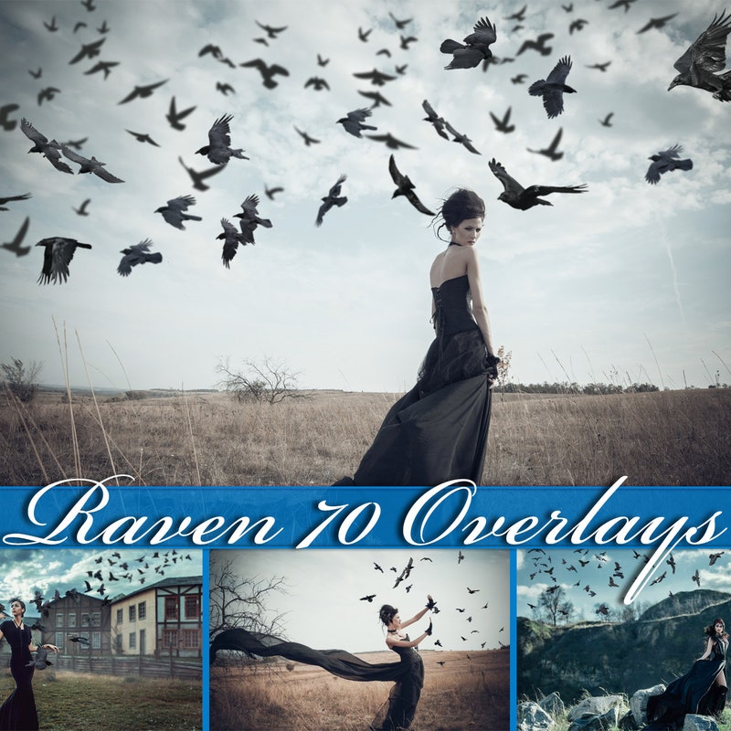 Flock of Crows - Etsy