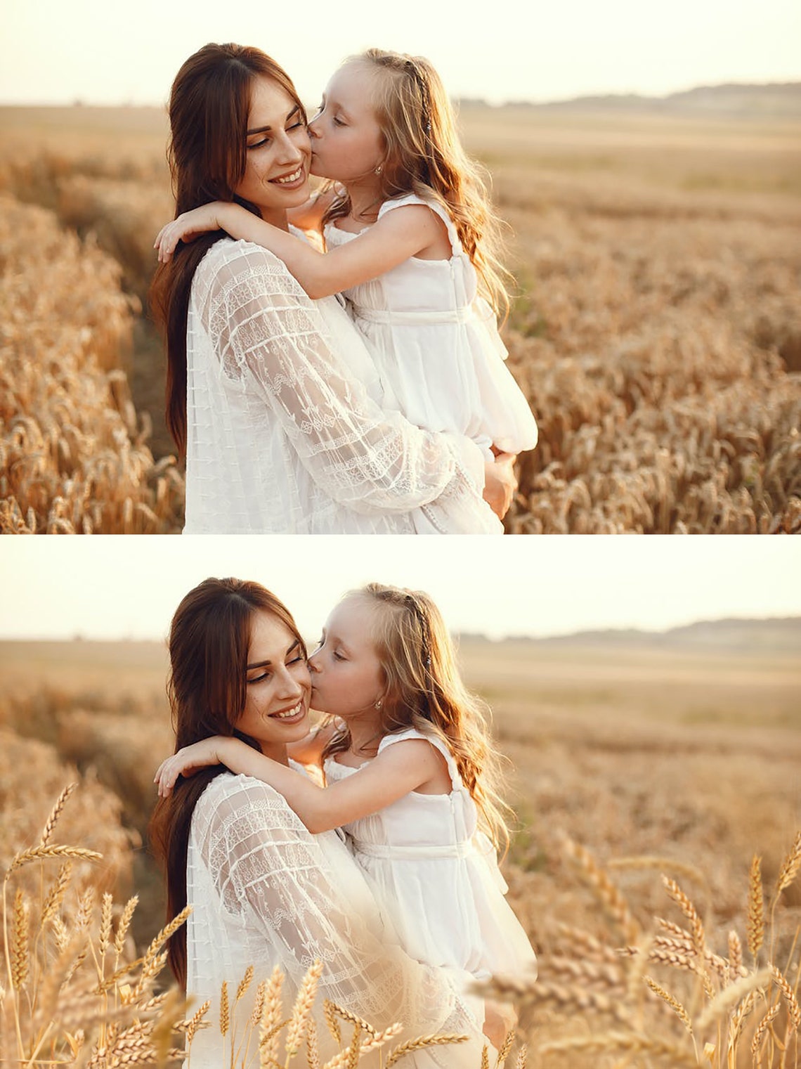 Golden Field Overlays Wheat Fields Overlay Golden Wheat - Etsy