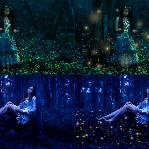 Firefly Overlay, Fireflies, Magic Overlay, Fairy Dust, Star Trail, Gold ...