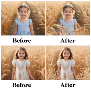 Golden Field Overlays, Wheat Fields Overlay, Golden Wheat Overlays ...