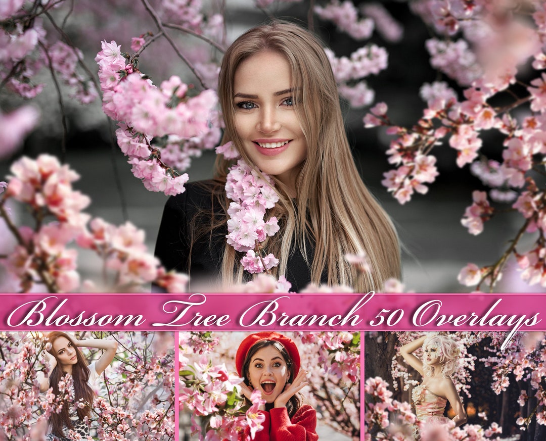 Blossom Tree Branch Overlays, Flowering Trees, Cherry, Apple Tree ...