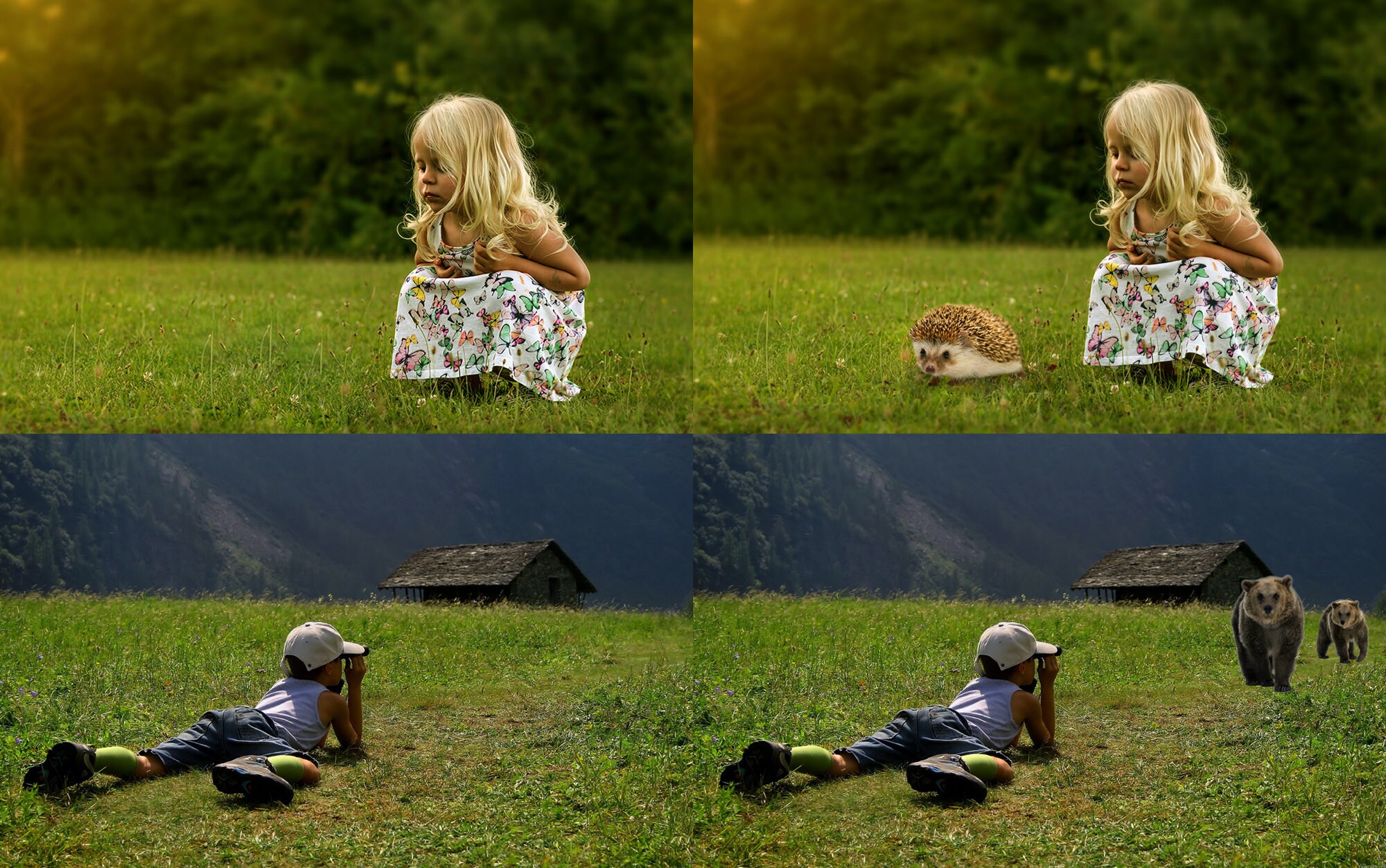 Forest Animals Overlay Wolf Rabbit Fox Hedgehog Squirrel - Etsy