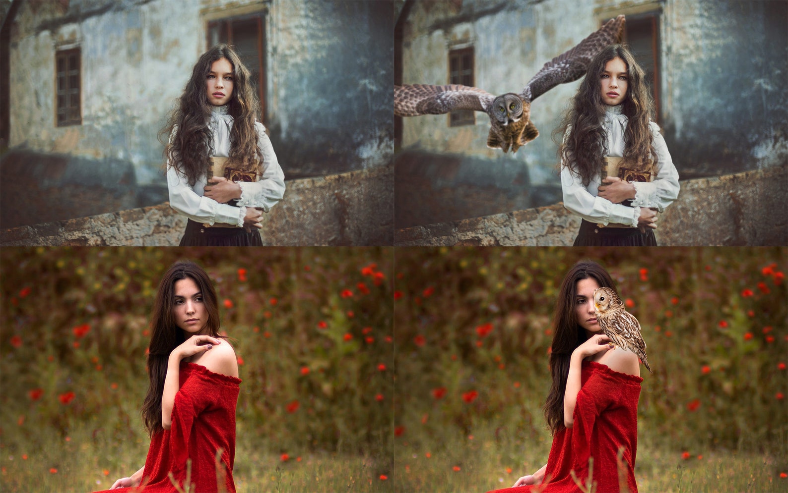 Owl Overlays Realistic Flying Owl Flying Bird Overlay - Etsy UK