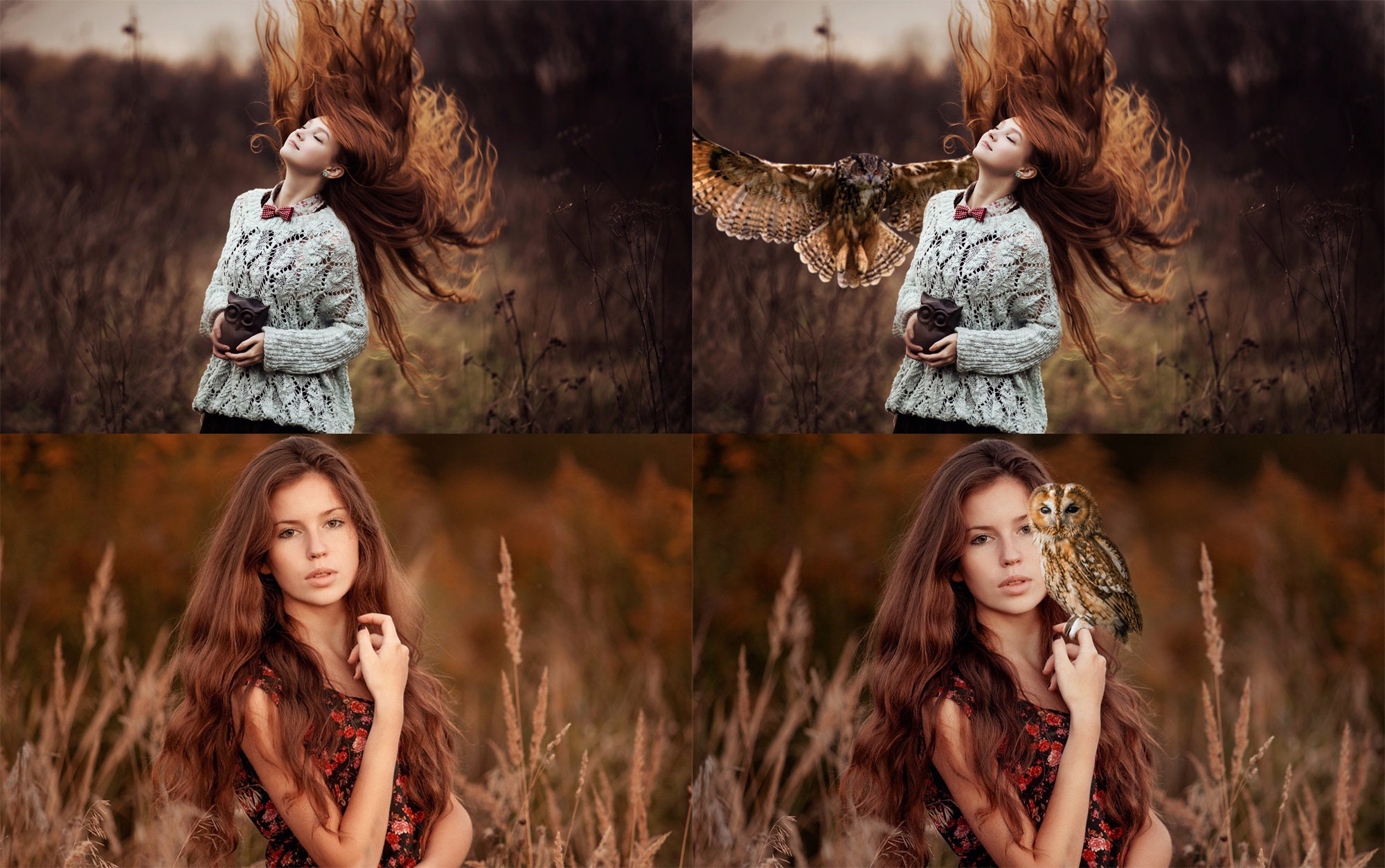 Owl Overlays Realistic Flying Owl Flying Bird Overlay - Etsy UK