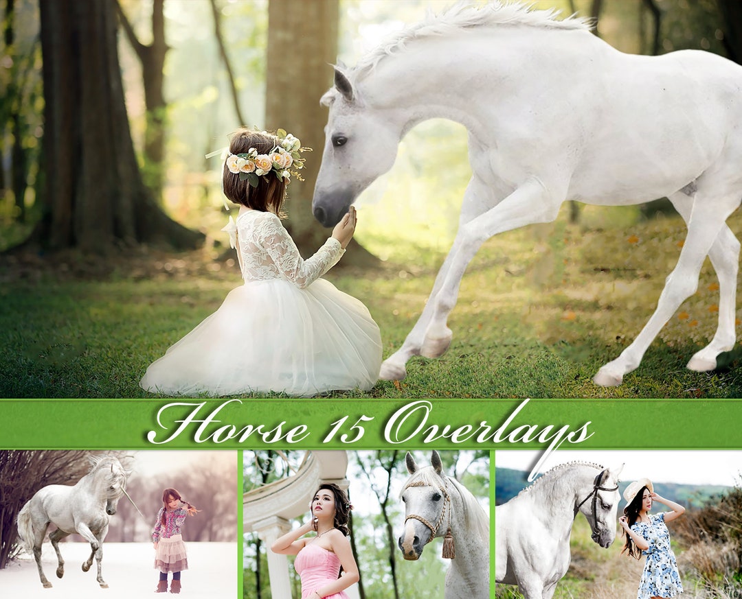 Unicorn Overlay, Photoshop Overlays, White Horse Overlay, Fantasy ...