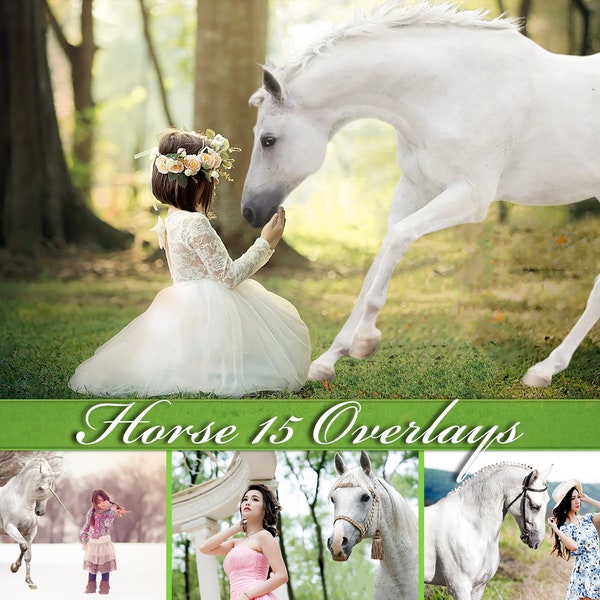 Horse Overlay - Etsy