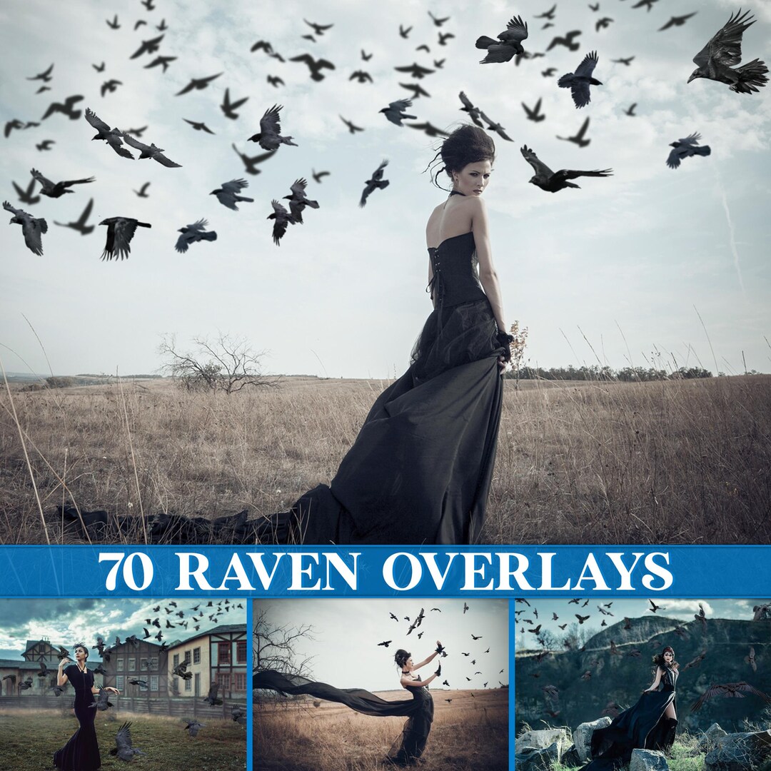 Raven Crow Overlays, Realistic Raven, Photoshop Overlays, Ghotic ...