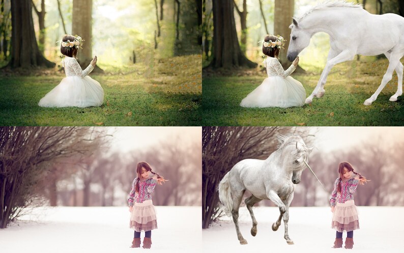 Unicorn Overlay Photoshop Overlays White Horse Overlay - Etsy