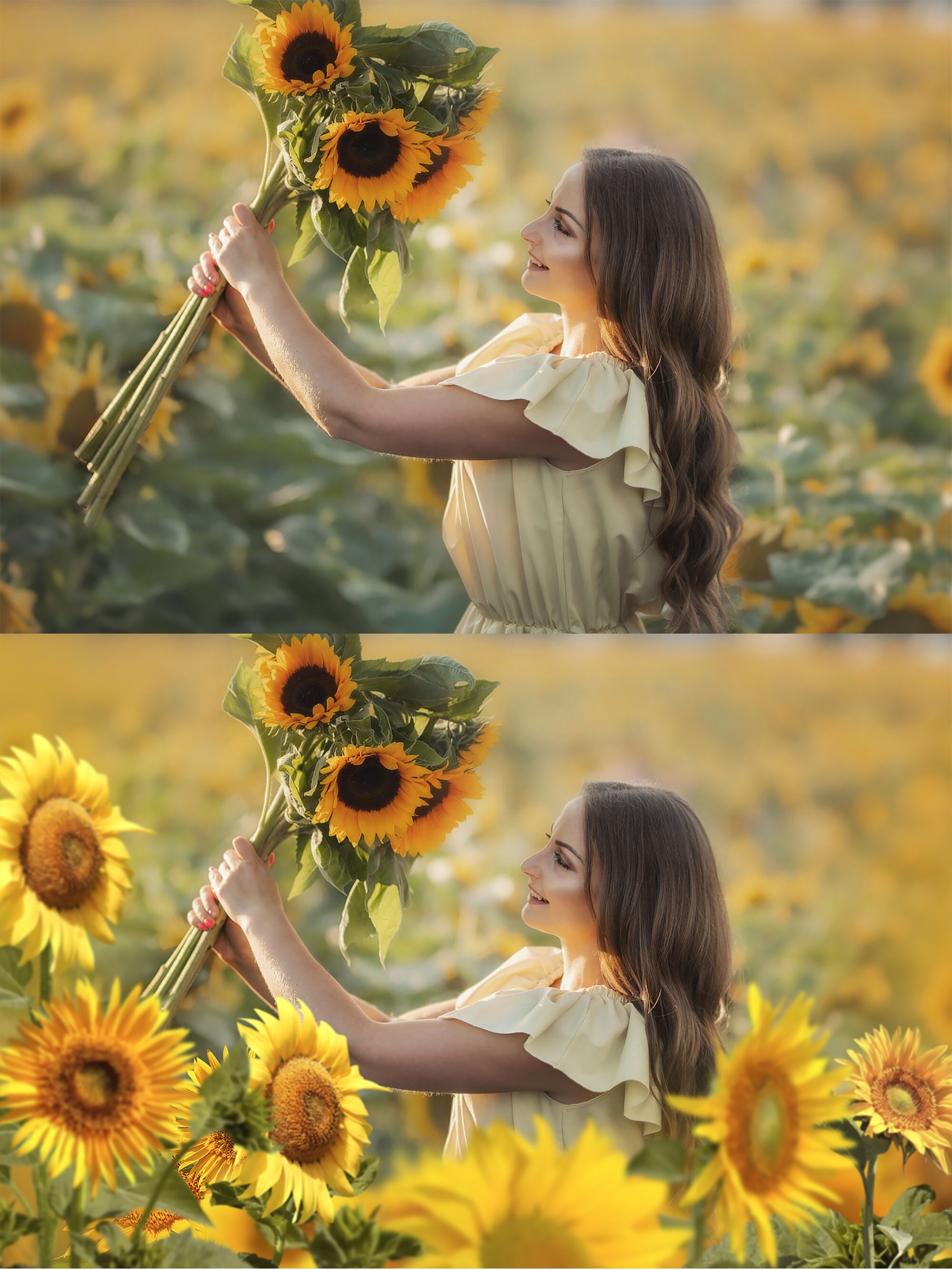 Sunflower Overlays Summer Flower Photoshop Overlay - Etsy