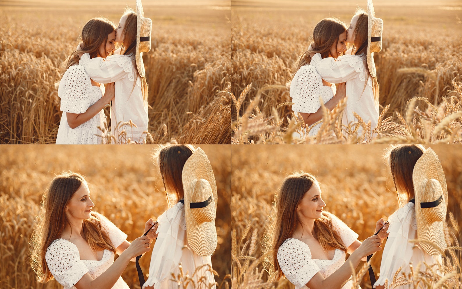 Golden Field Overlays Wheat Fields Overlay Golden Wheat - Etsy