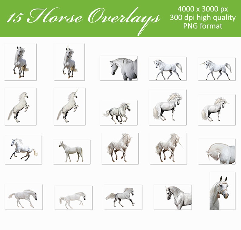 Unicorn Overlay Photoshop Overlays White Horse Overlay - Etsy