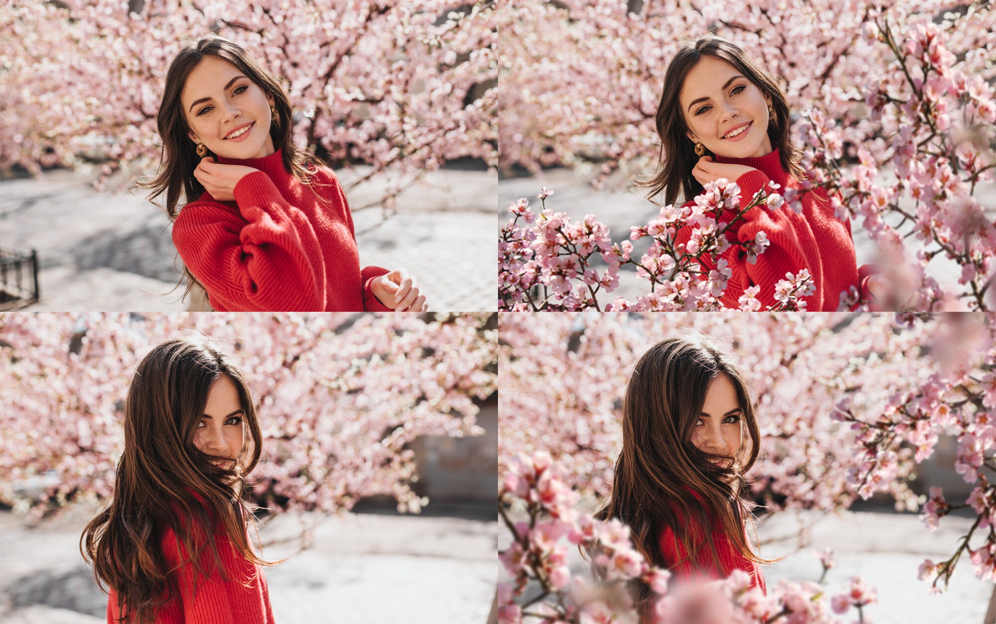 Blossom Tree Branch Overlays Flowering Trees Cherry Apple - Etsy Canada