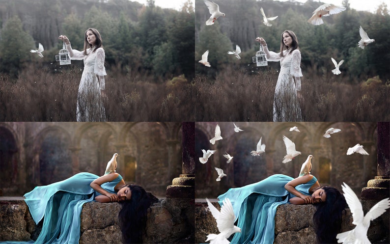 Dove Overlays Pigeon Overlays Wedding Doves Overlay Birds - Etsy