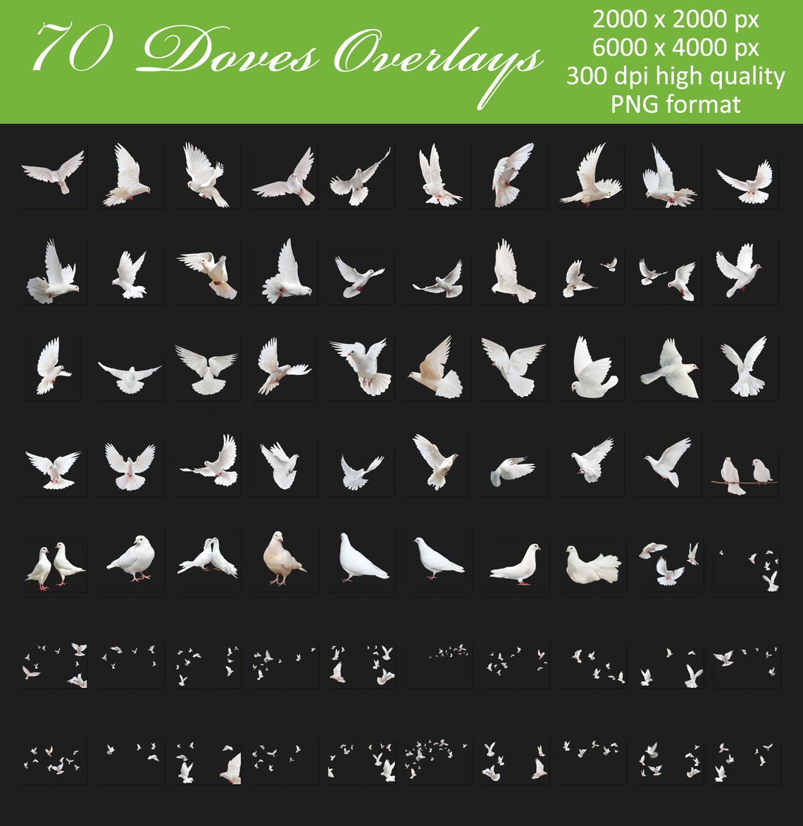 Dove Overlays Pigeon Overlays Wedding Doves Overlay - Etsy