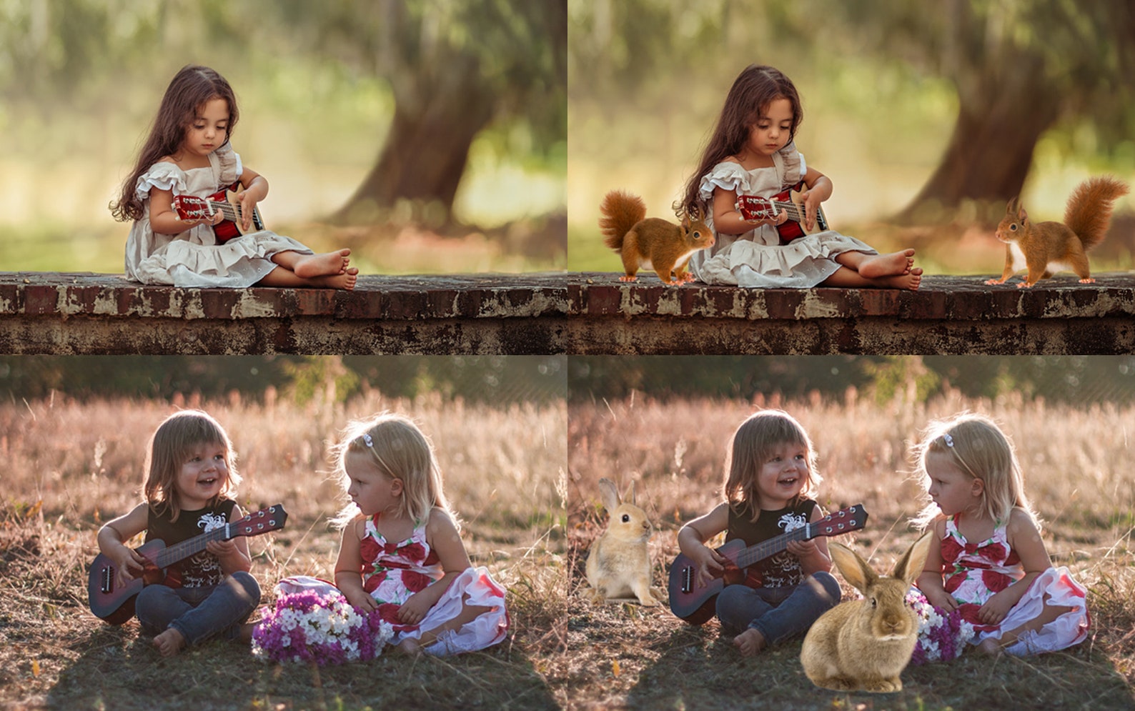 Forest Animals Overlay Wolf Rabbit Fox Hedgehog Squirrel - Etsy