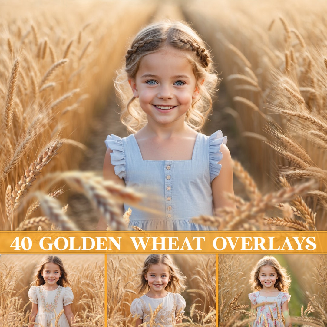 Golden Field Overlays, Wheat Fields Overlay, Golden Wheat Overlays ...