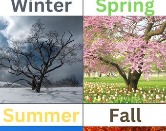 Printable Seasons Poster Poster for Kids Learning Poster Kids - Etsy