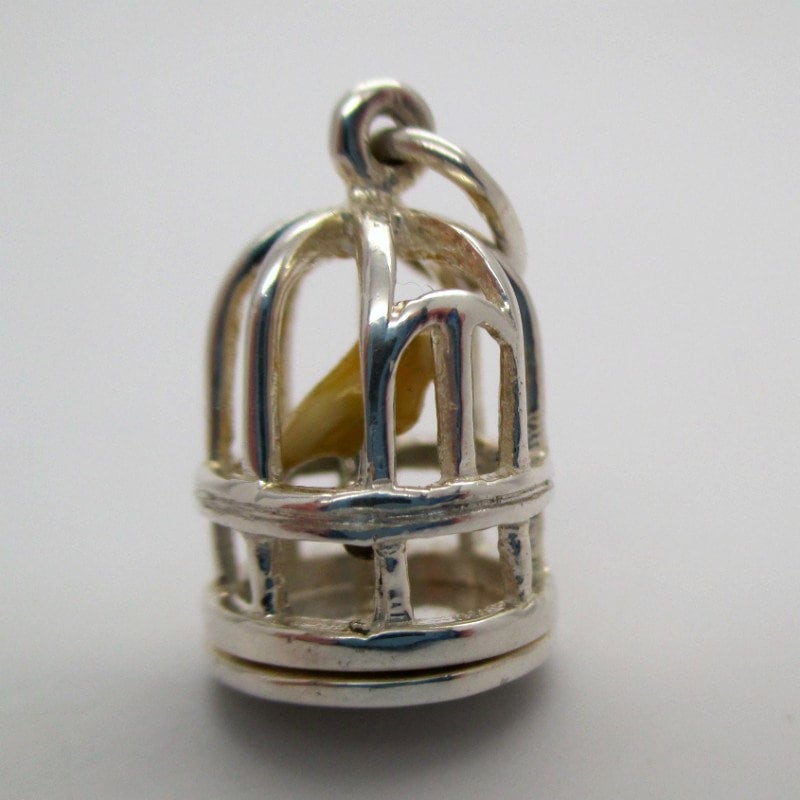 CANARY CAGE CHARM Bird Cage Charm Bird Cage Pendant Bird | Etsy