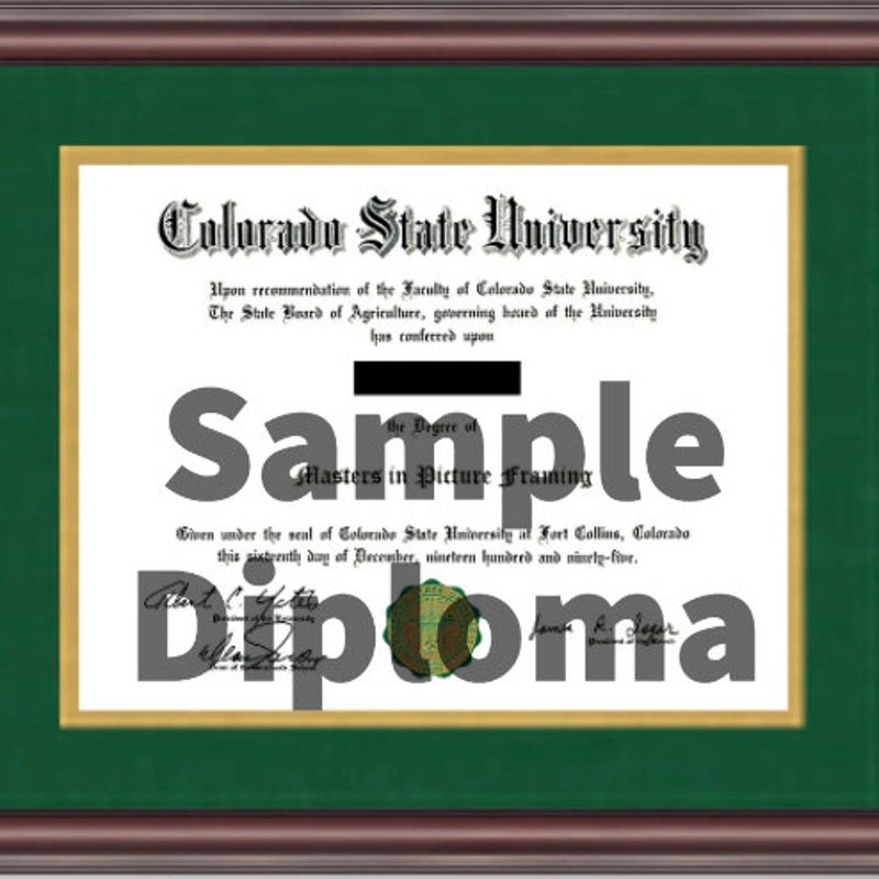 Colorado State University - Etsy