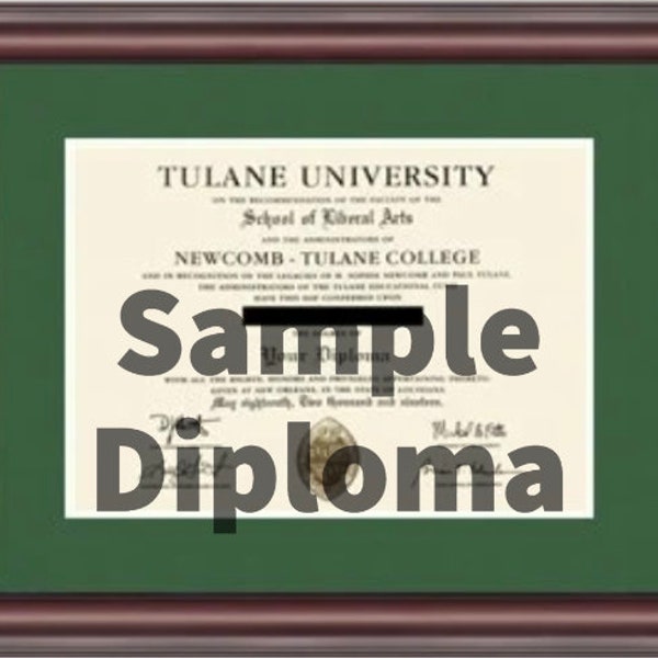 Michigan State University Diploma Frame - Etsy