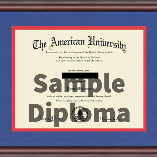 American University - Etsy
